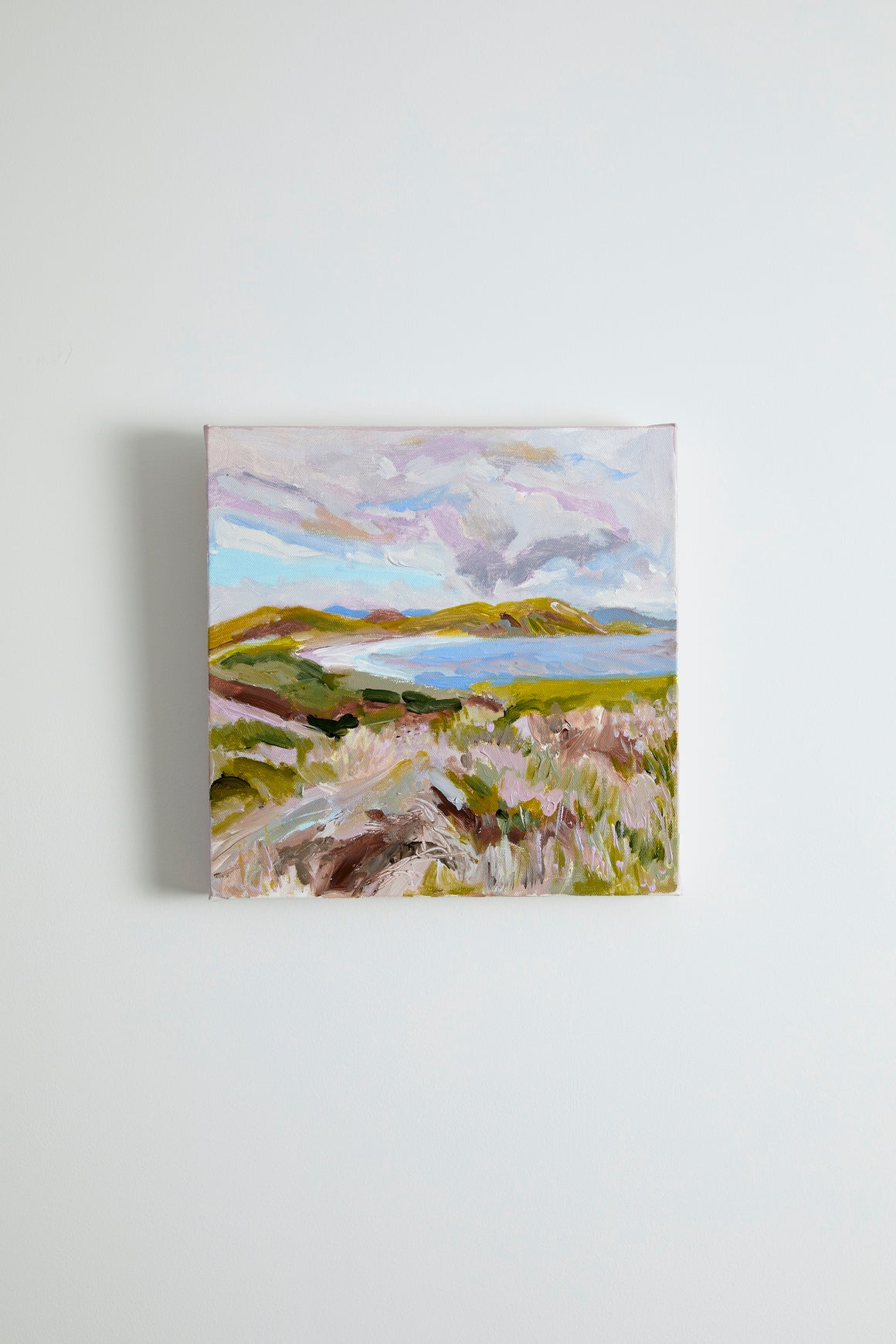 Jane Sankey – Bison Art